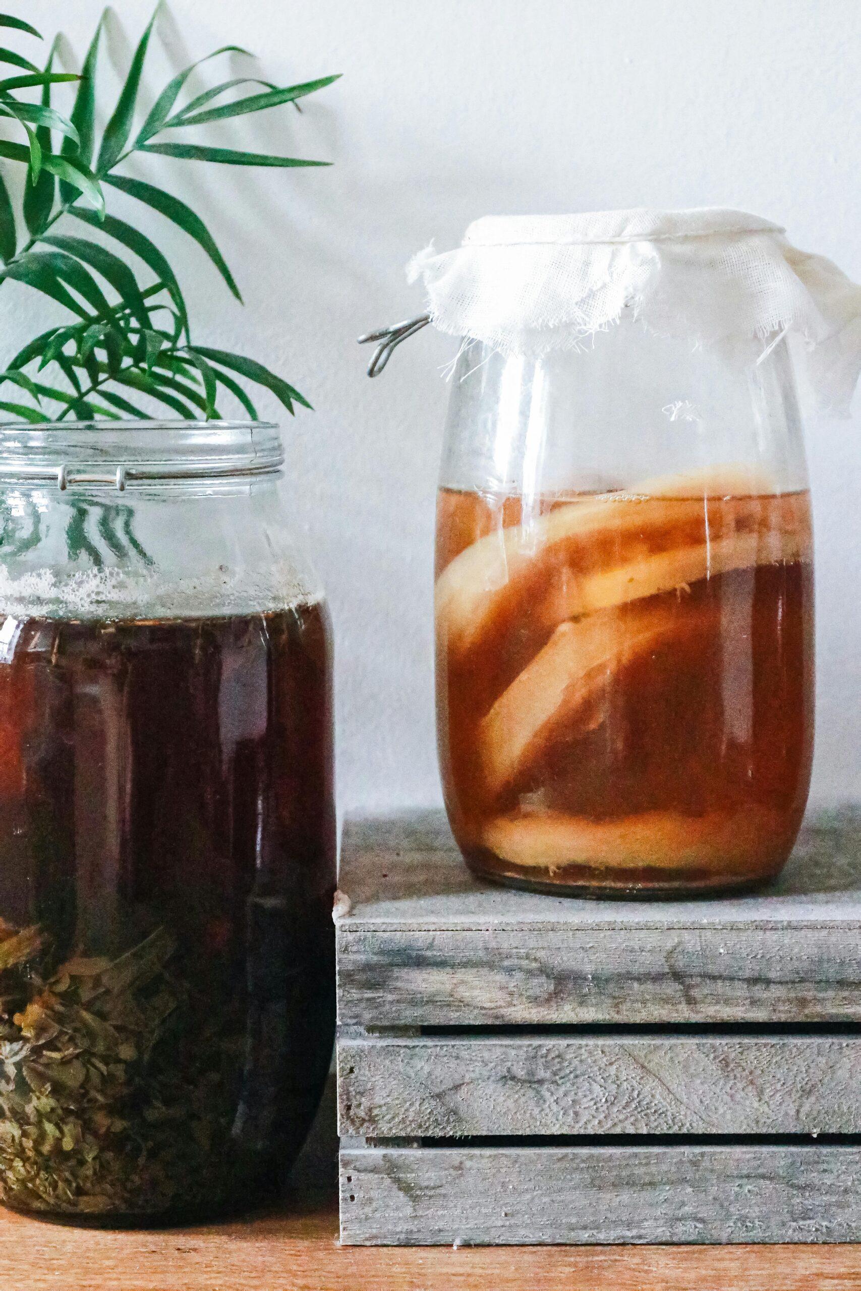 Fizzy Kombucha Recipe - Dixie Living Homestead